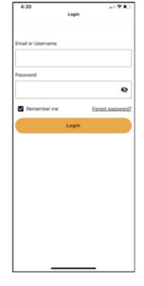Manager Check Scan App – Domuso Support